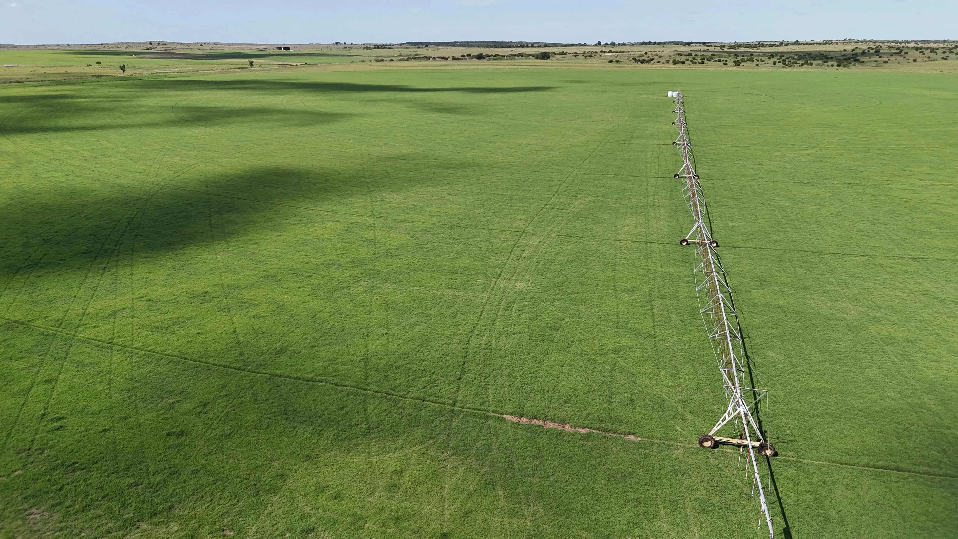 Texas Ranches for Sale - 8,802 Listings | Land And Farm