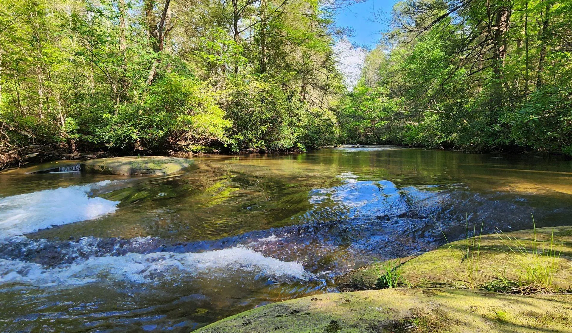 Land for Sale in Nicholas County, WV, Nicholas County, WV Land for Sale ...