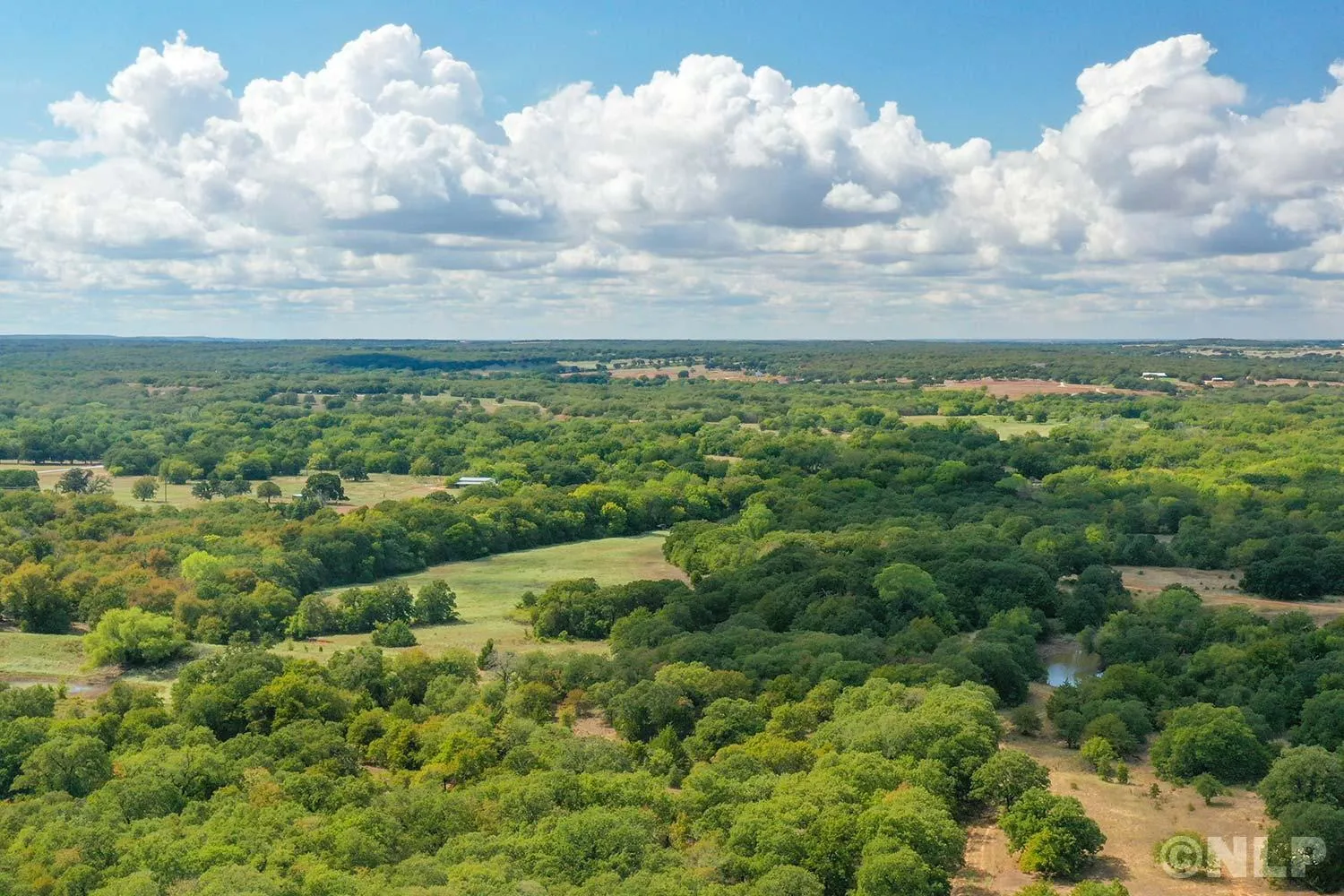 Land for Sale in Texas, Texas Land for Sale, Land for Sale Near Me in ...