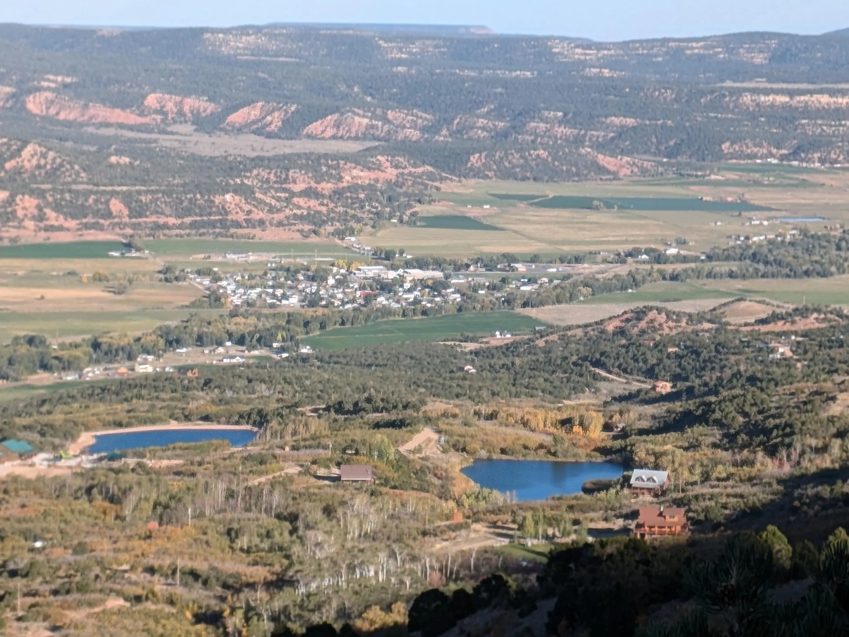 Natural Forest Land for Sale up to 10 Acres - 503 Listings | Land And Farm