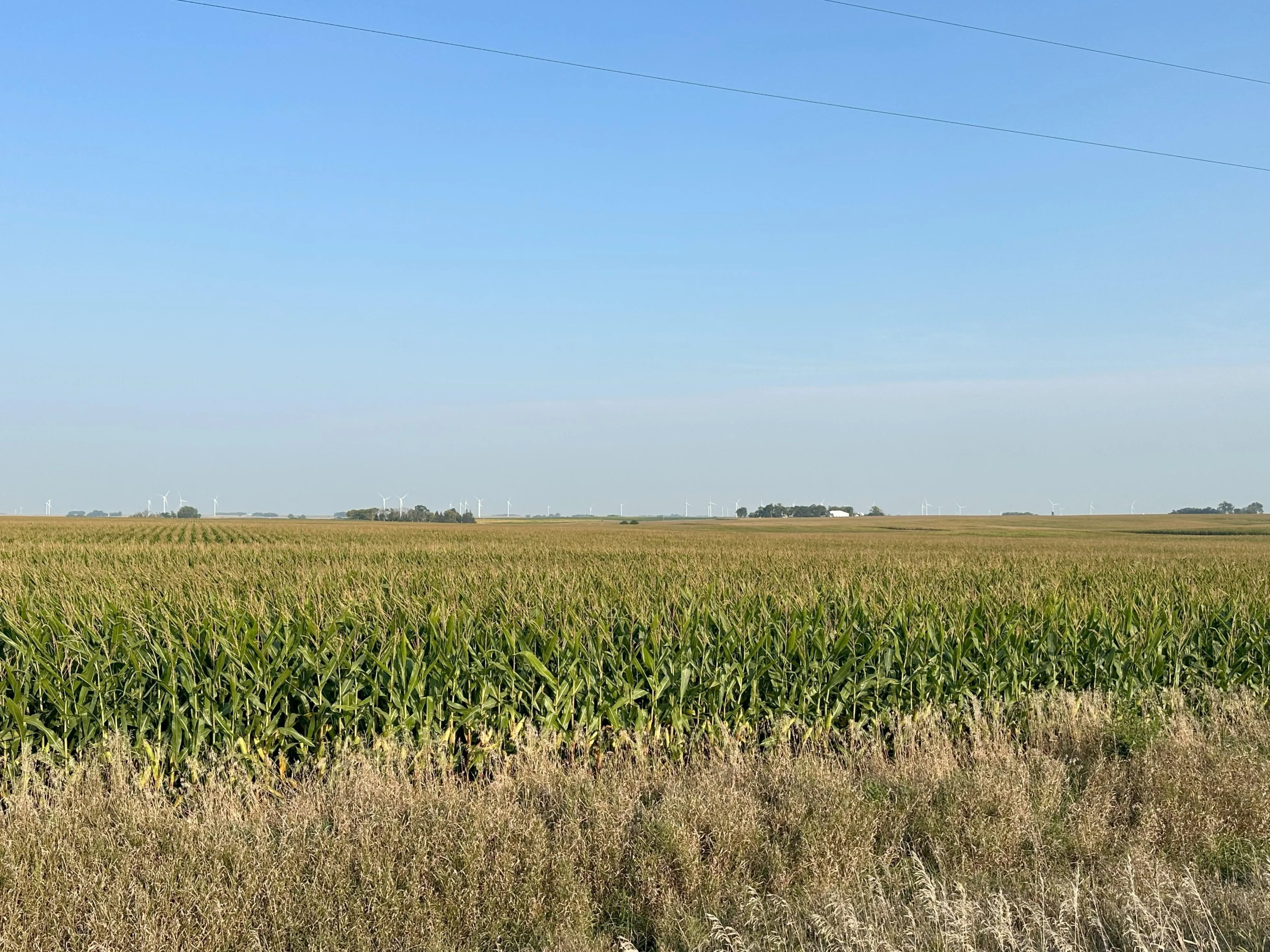 Iowa Land for Auction - 103 Listings | Land And Farm