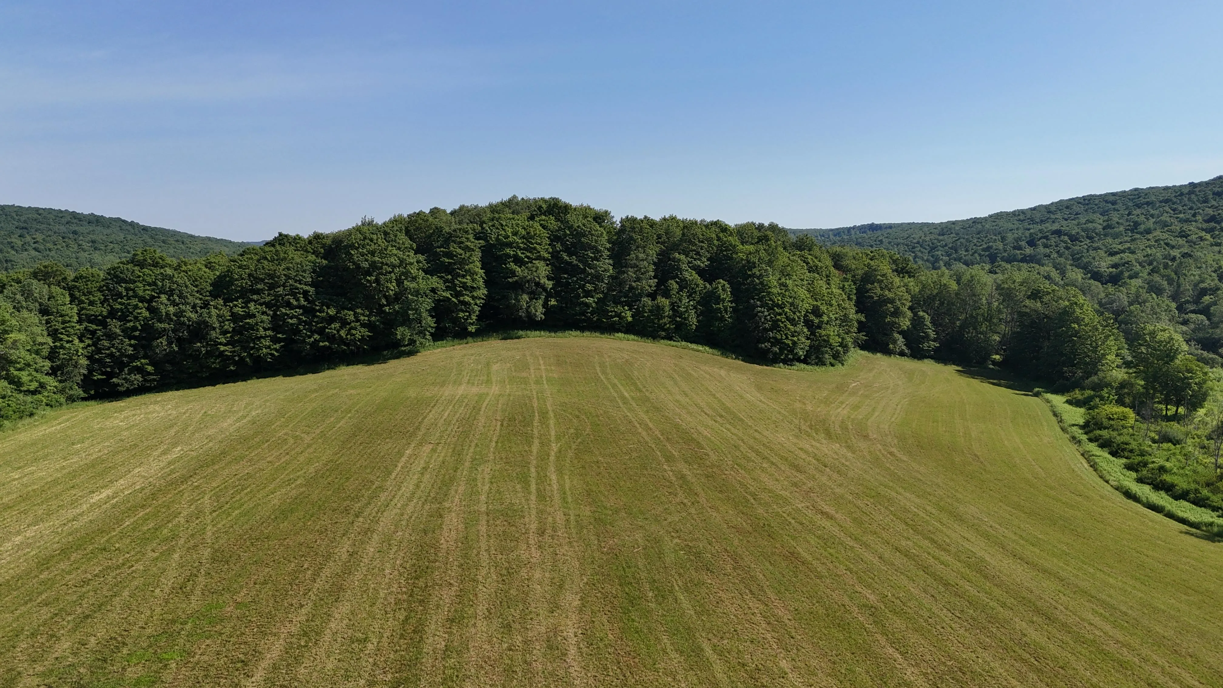 New York Farm Land for Sale - 285 Listings | Land And Farm