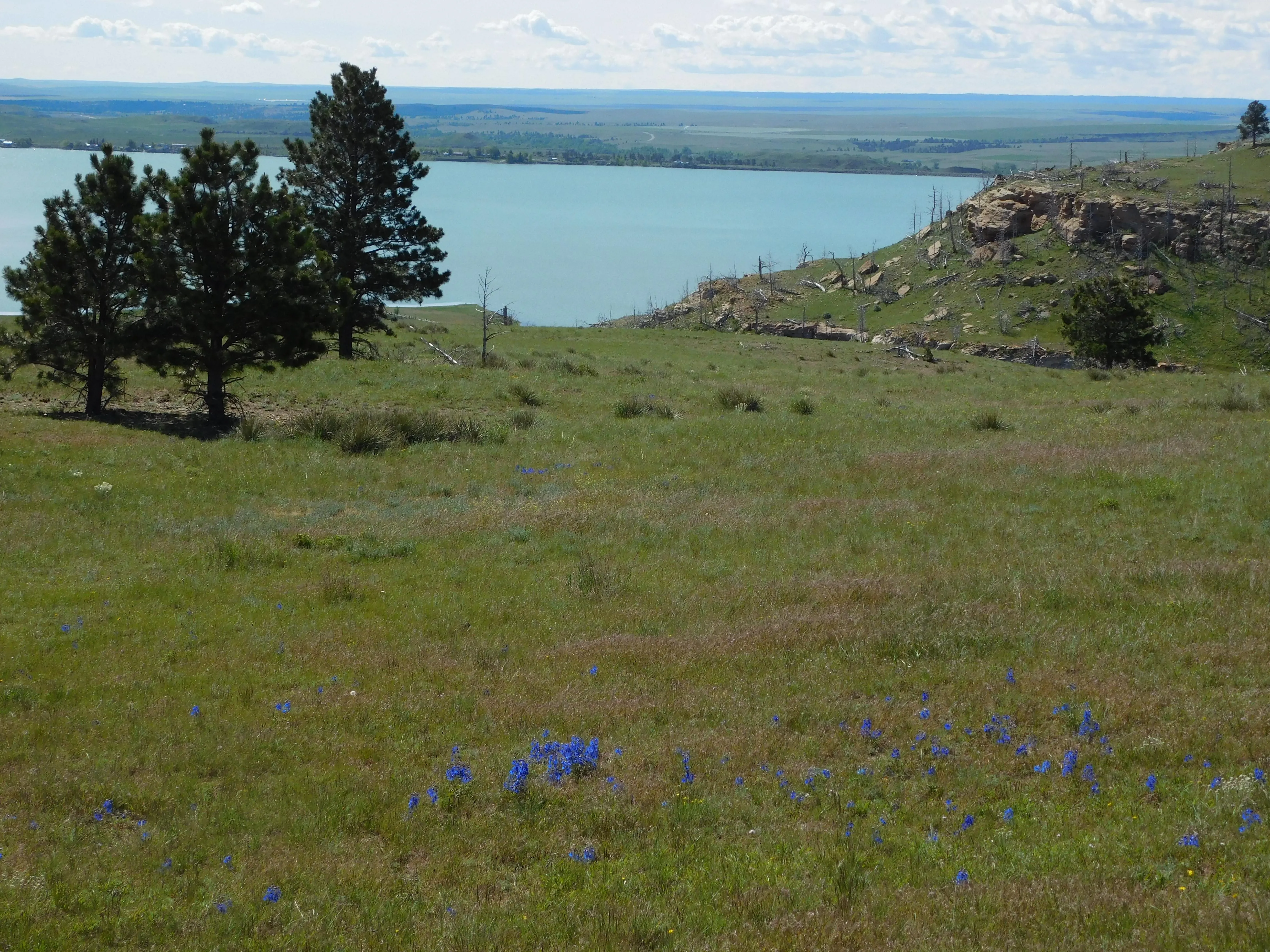 Montana Undeveloped Land for Sale - 2,180 Listings | Land And Farm
