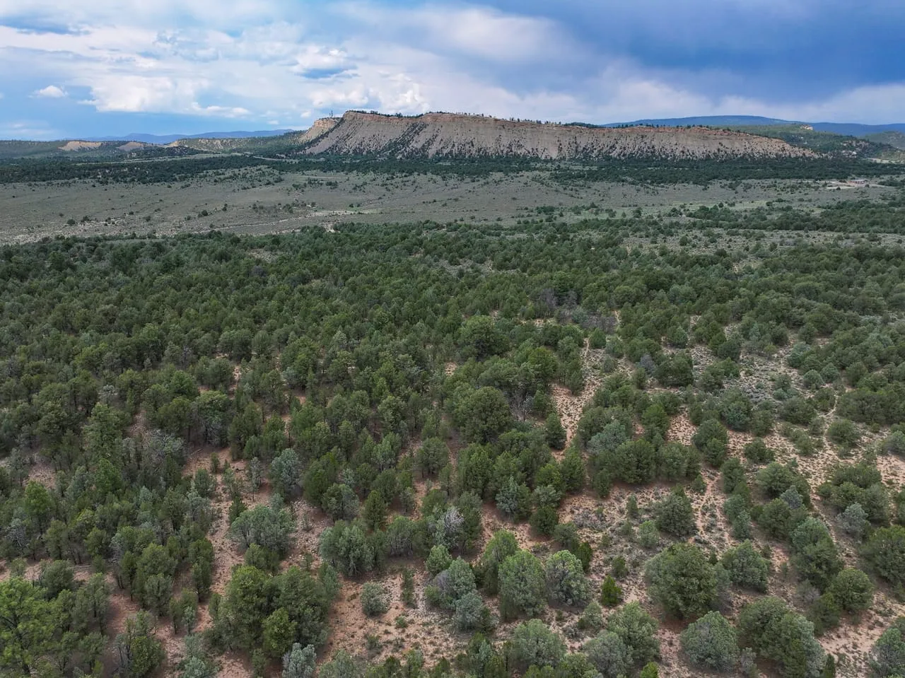New Mexico Ranches for Sale over 1000 Acres - 56 Listings | Land And Farm