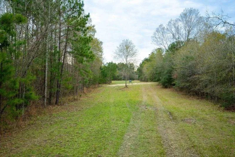 Hunting Land for Sale in Louisiana, Louisiana Hunting Land for Sale ...