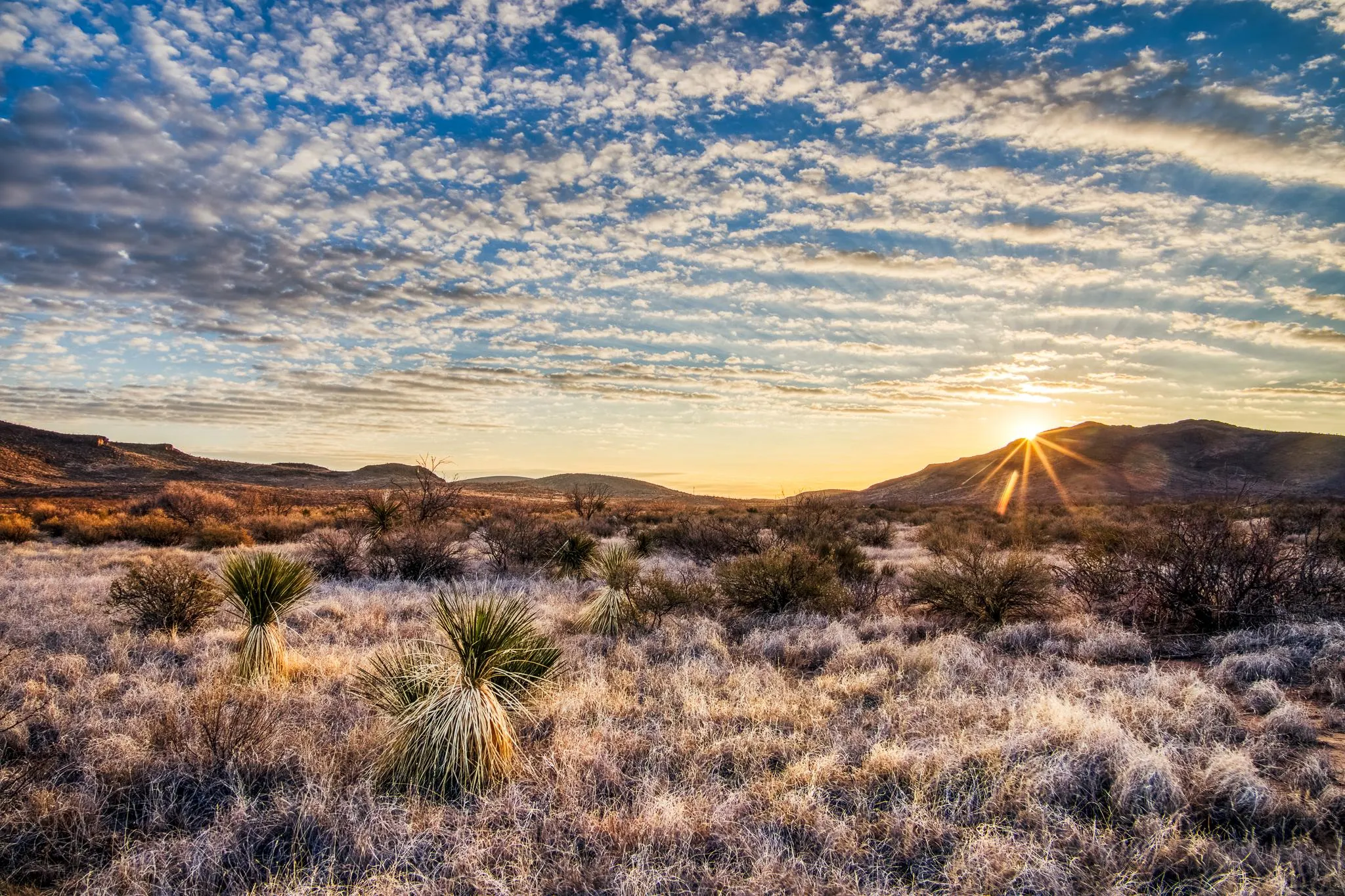 Land for Sale in Trans Pecos Region, TX, Trans Pecos Region, TX Land ...