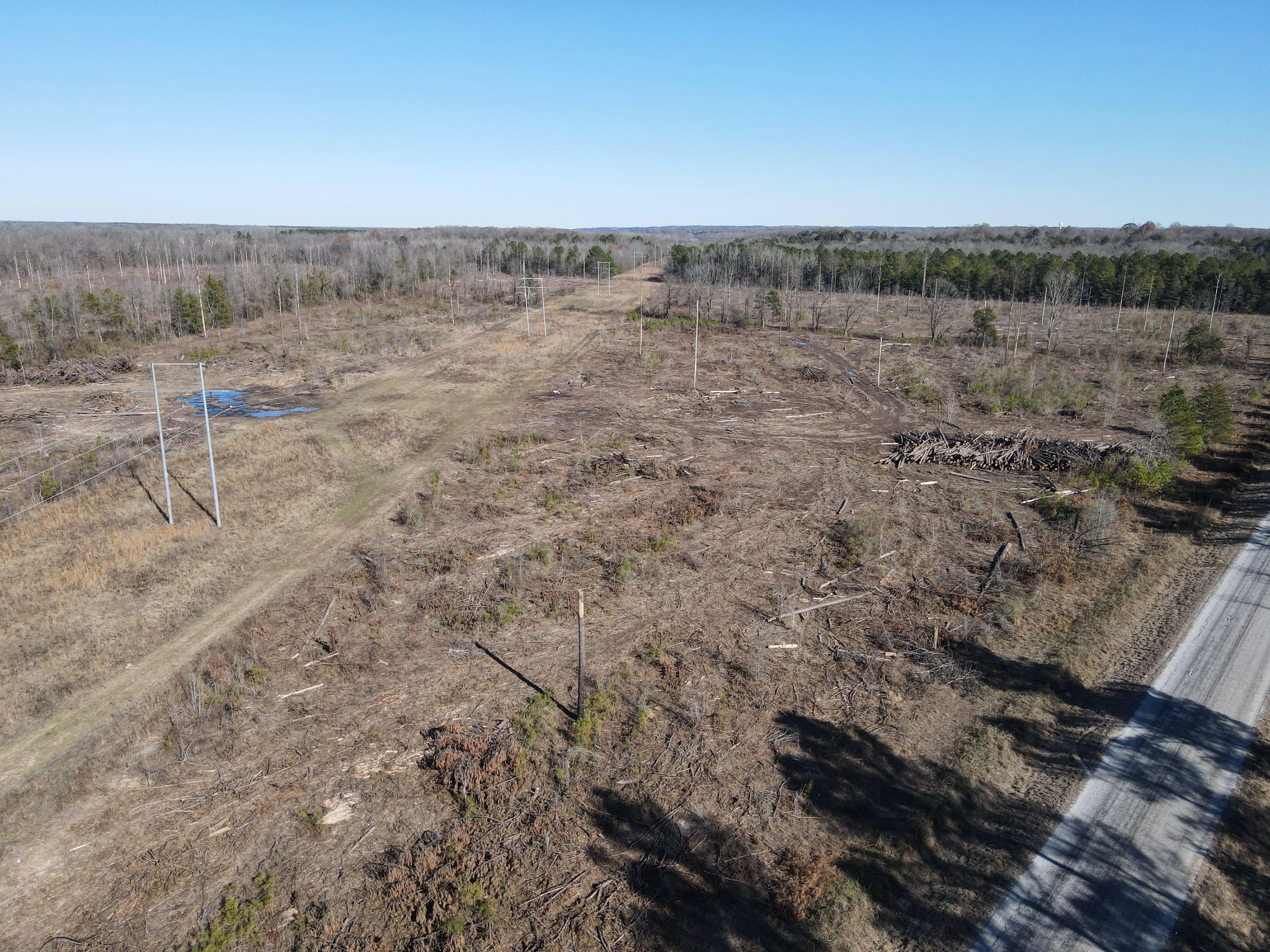 Hunting Land for Sale in Pines Region, MS, Pines Region, MS Hunting ...