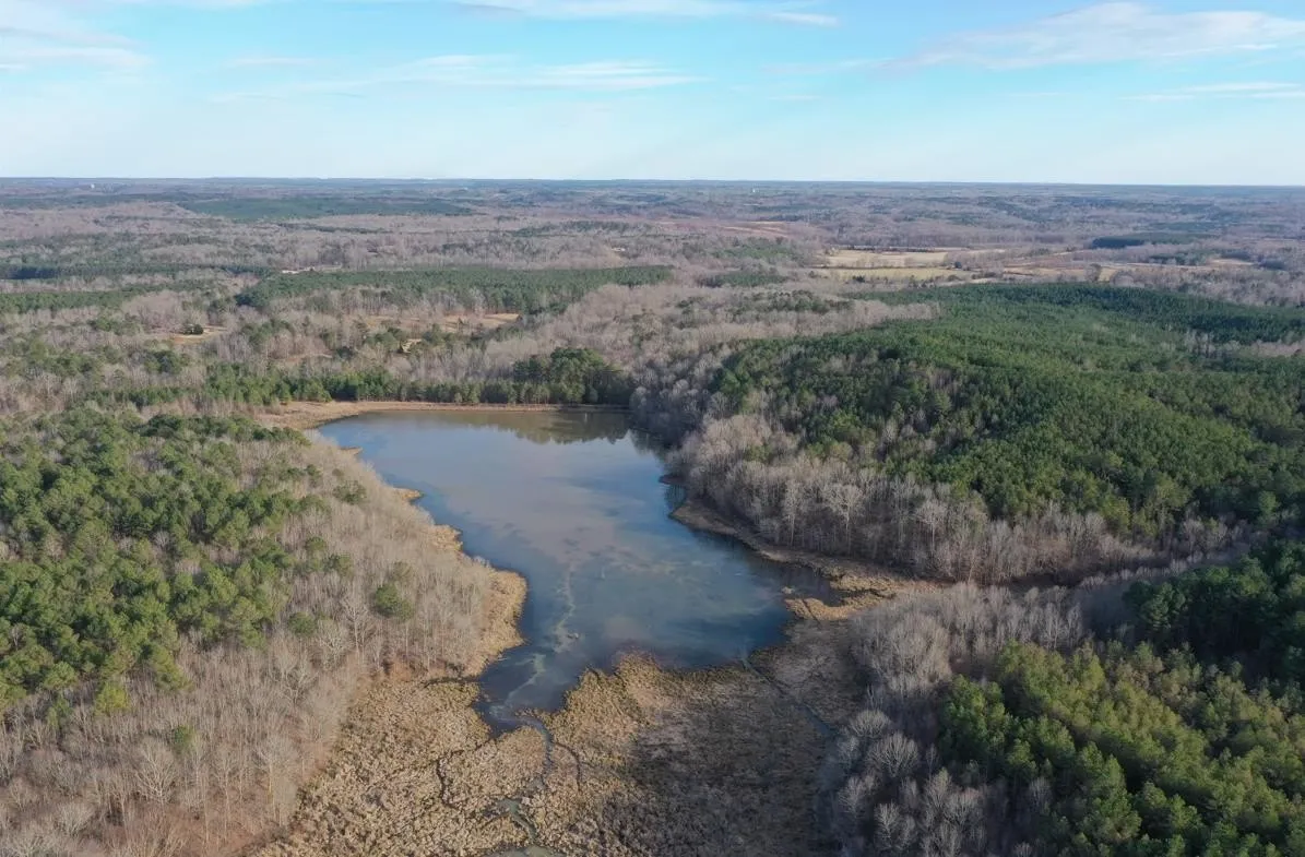 Hunting Land for Sale in Mississippi, Mississippi Hunting Land for Sale ...