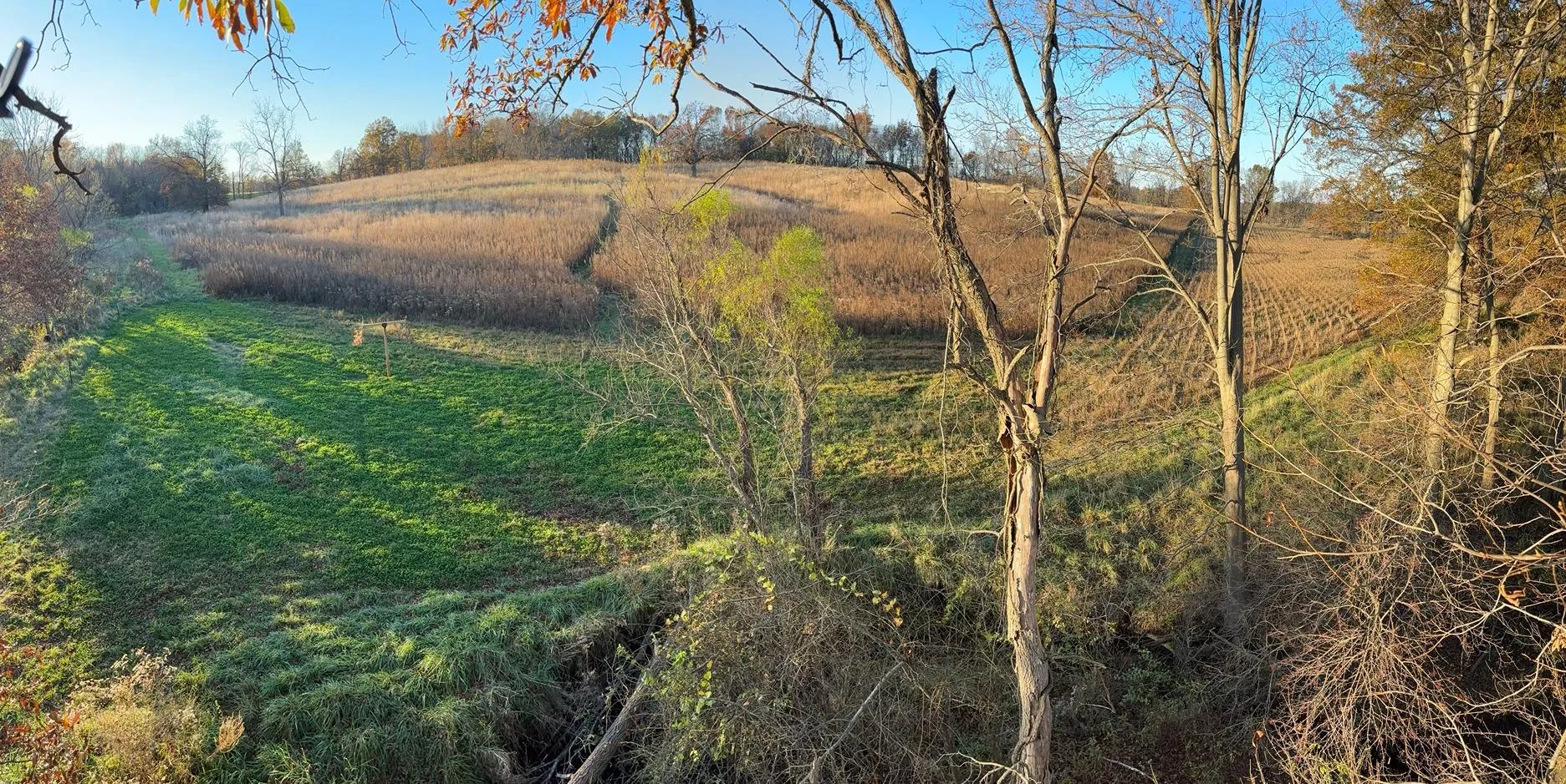 Hunting Land for Sale in Central Region, IL, Central Region, IL Hunting ...