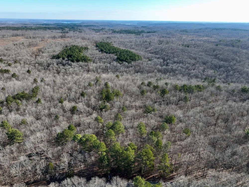 Hunting Land for Sale in West Region, TN, West Region, TN Hunting Land ...