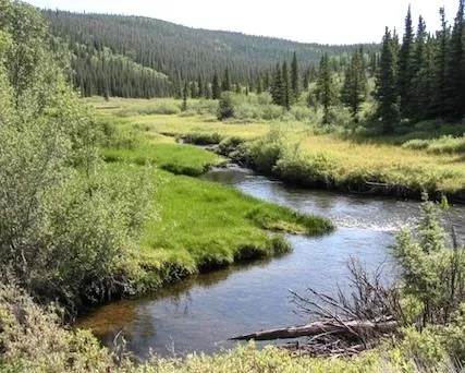 Rand, CO Land for Sale - 7 Listings | Land And Farm