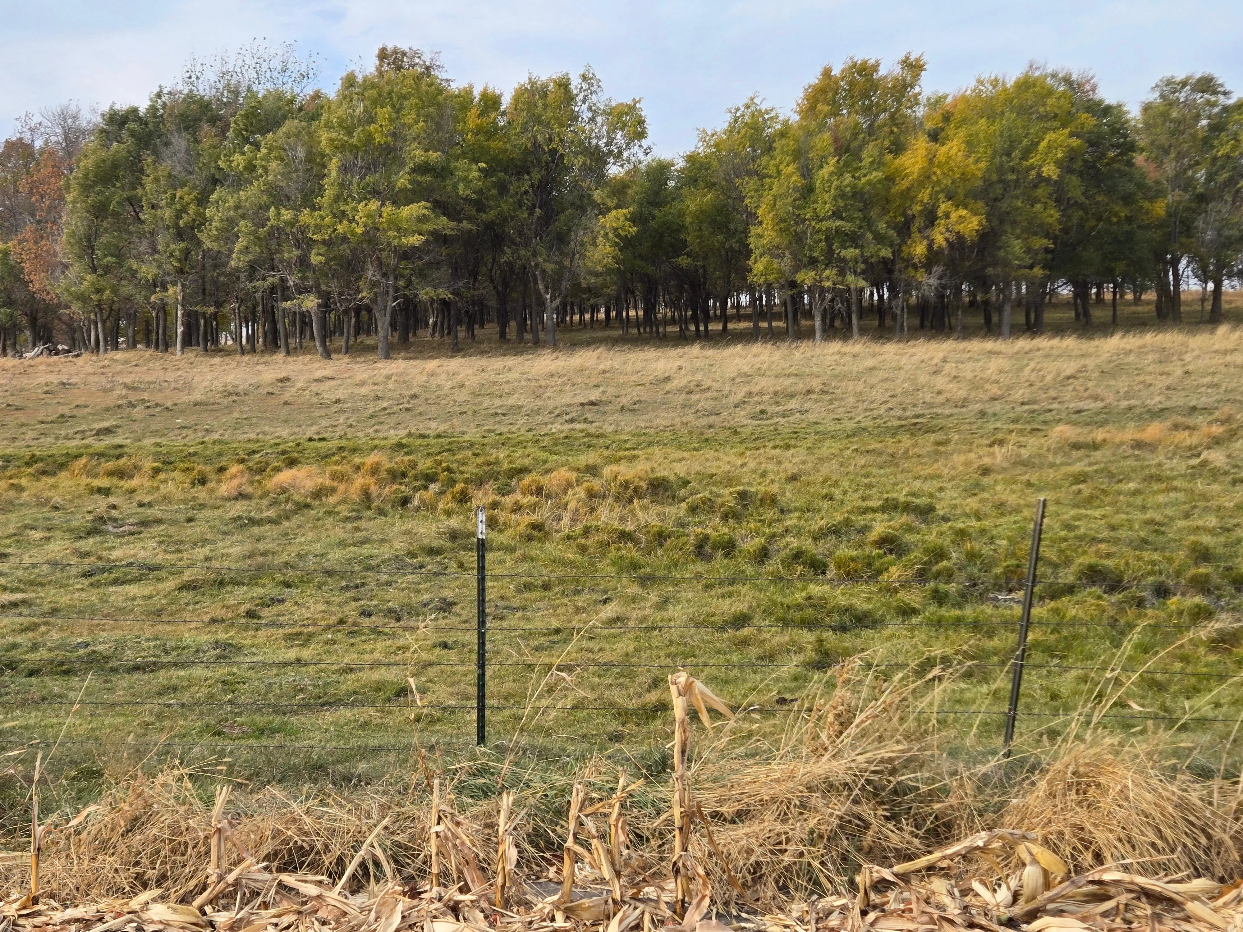 Farm Land for Sale in Glacial Lakes & Prairies Region, SD, Glacial ...