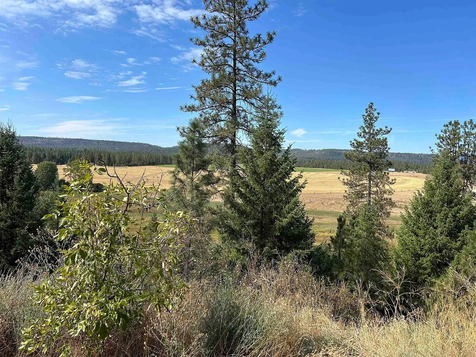 Hunting Land for Sale in Washington, Washington Hunting Land for Sale ...