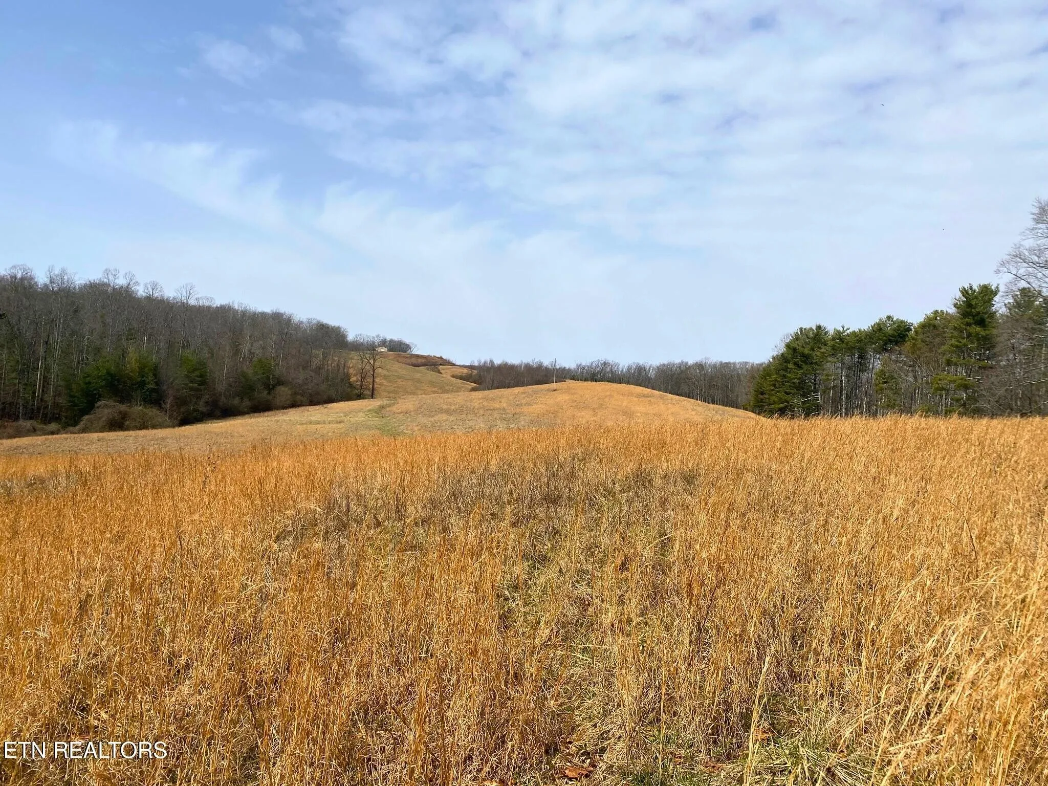 Grandview, TN Ranches for Sale - 1 Listing | Land And Farm