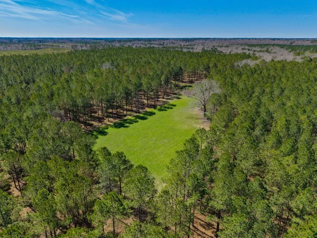Historic South Region, GA Hunting Land for Sale - 301 Listings | Land ...