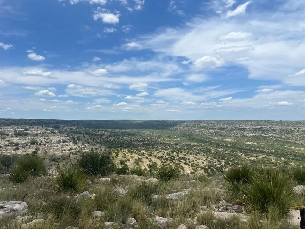 Hunting Land for Sale in Texas, Texas Hunting Land for Sale, Hunting ...