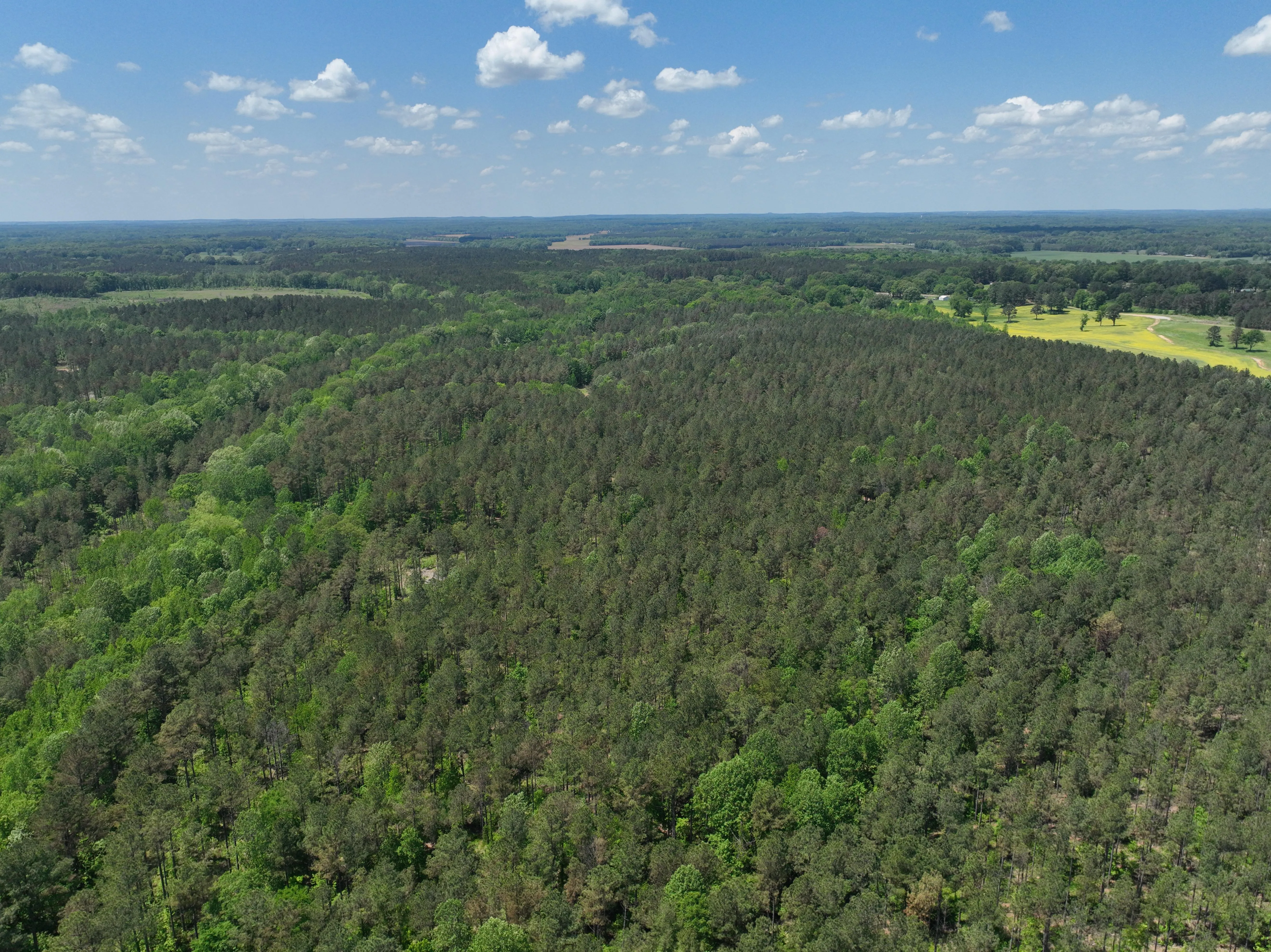 Hunting Land for Sale in Mississippi, Mississippi Hunting Land for Sale ...