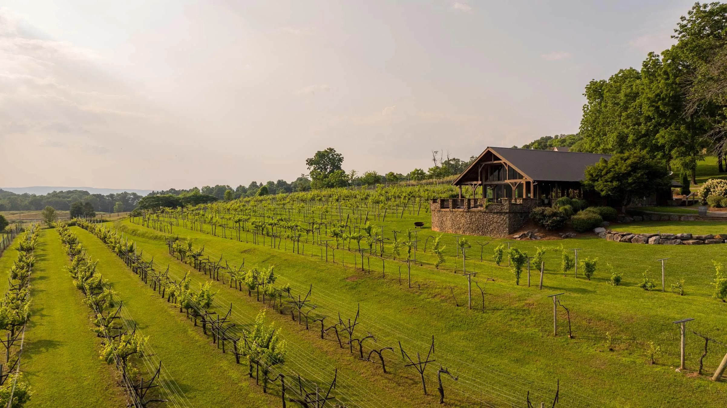 Farm Land for Sale in Georgia, Georgia Farm Land for Sale, Farm Land ...