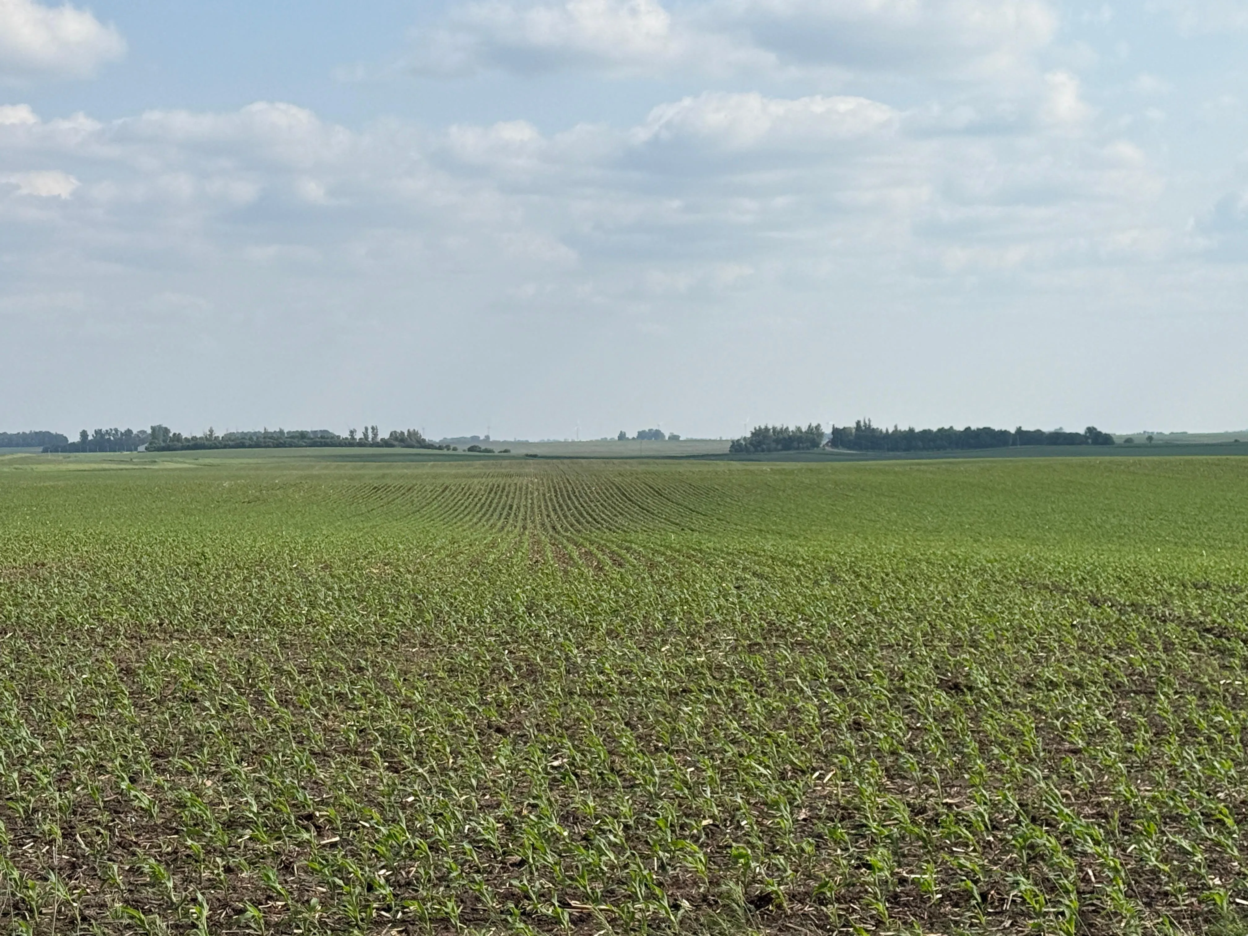 Farm Land for Sale in Minnesota, Minnesota Farm Land for Sale, Farm ...