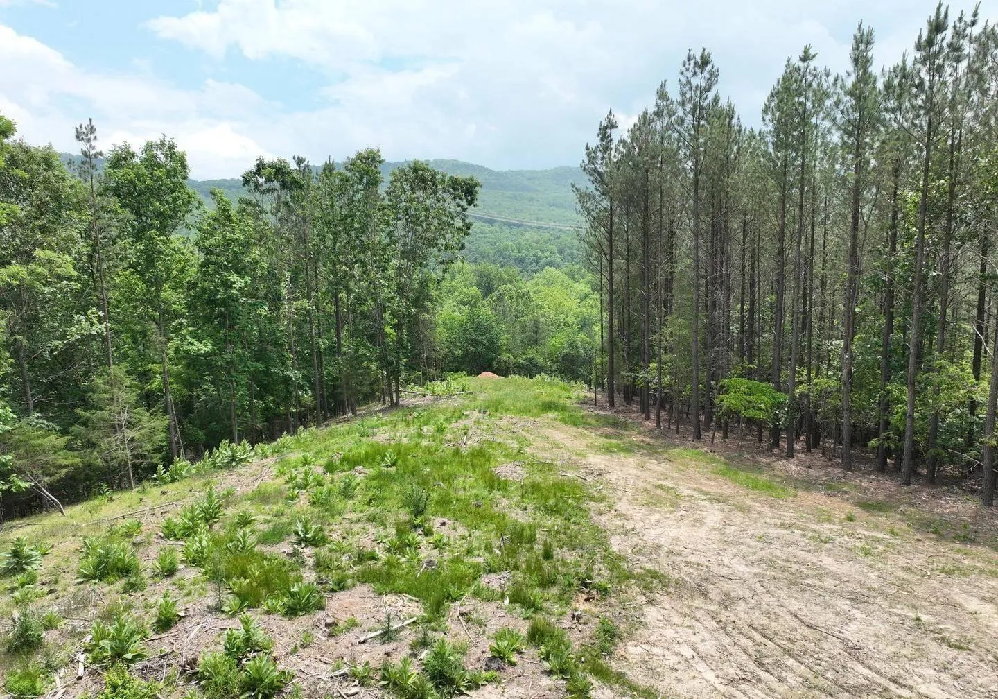 Land for Sale in Hampshire County, WV, Hampshire County, WV Land for ...