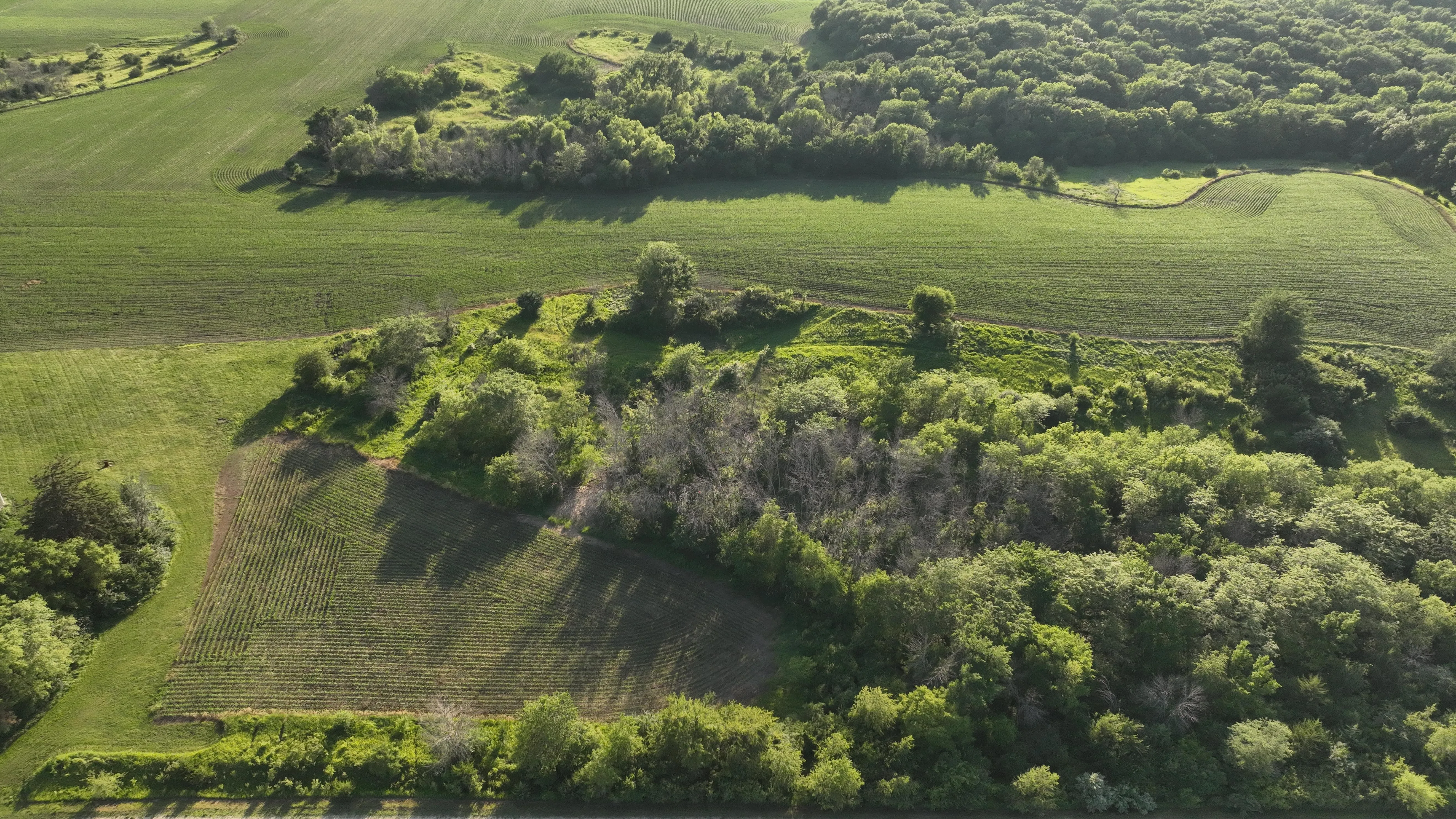 Hunting Land for Sale in Iowa, Iowa Hunting Land for Sale, Hunting Land ...