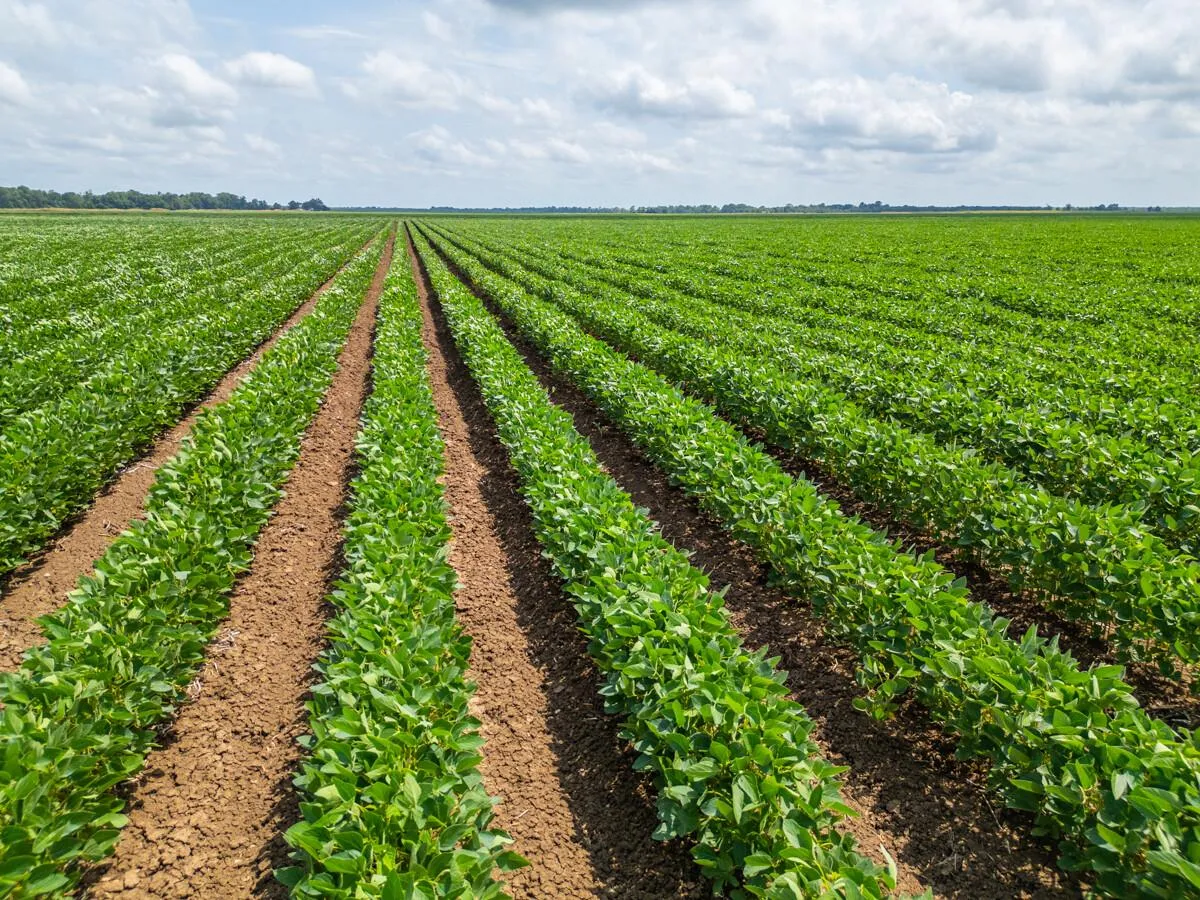 Farm Land for Sale in United States, United States Farm Land for Sale ...