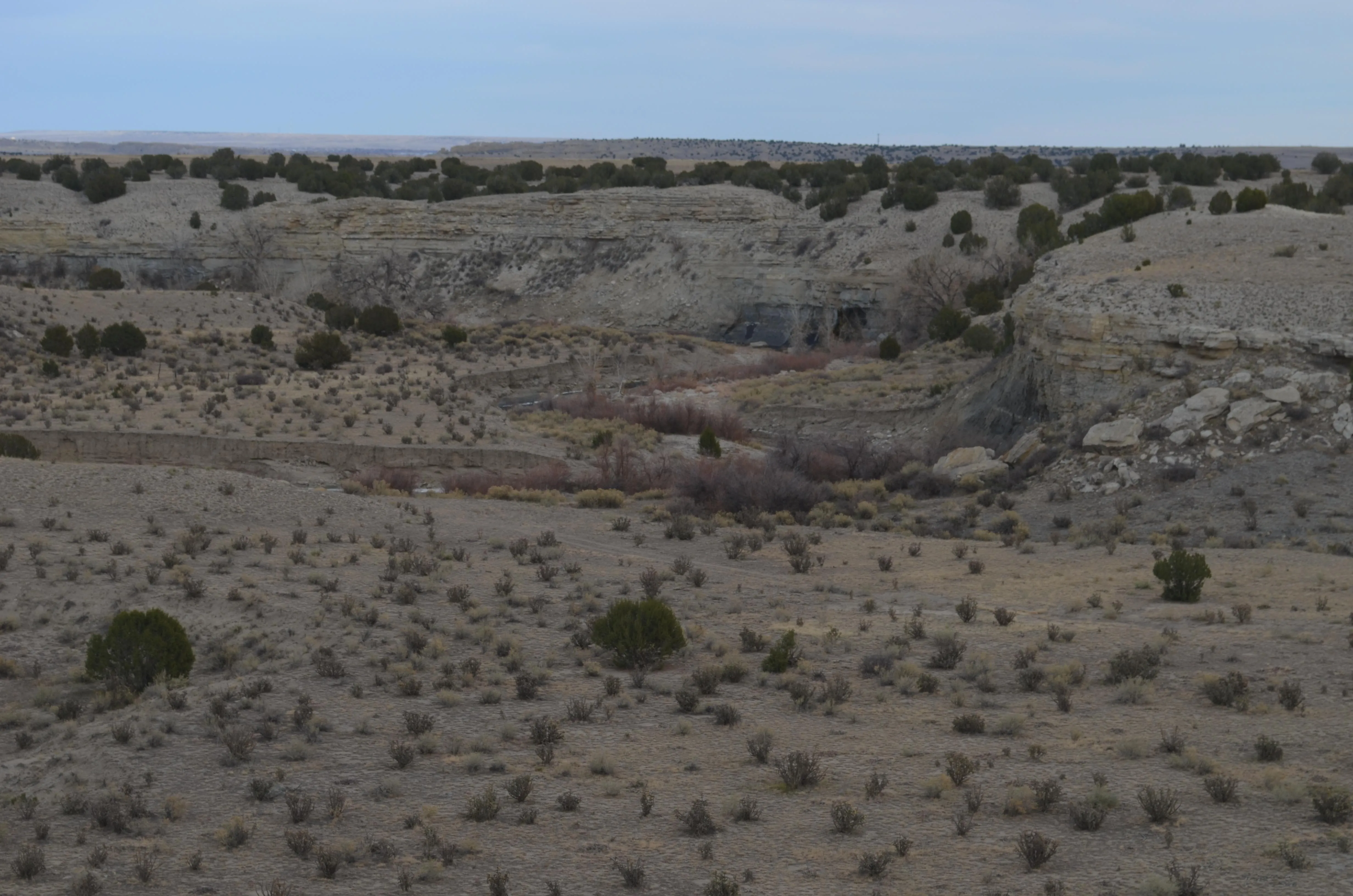 Land for Sale in Colorado, Colorado Land for Sale, Land for Sale Near ...