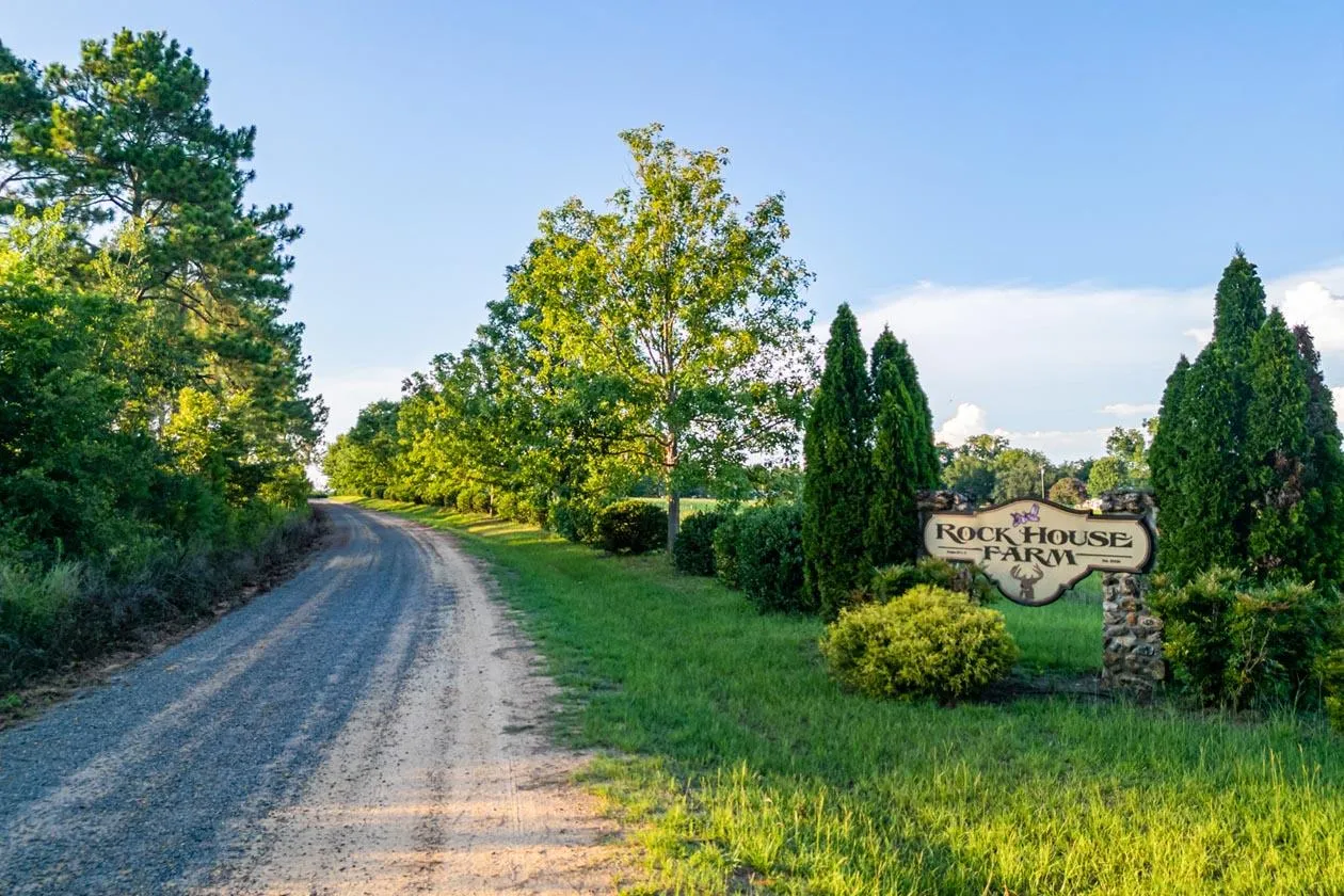 Land for Sale in Georgia: Farms, Ranches, Hunting Property | Land And Farm