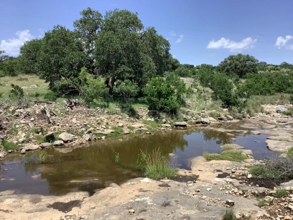 Hunting Land for Sale in Texas, Texas Hunting Land for Sale, Hunting ...