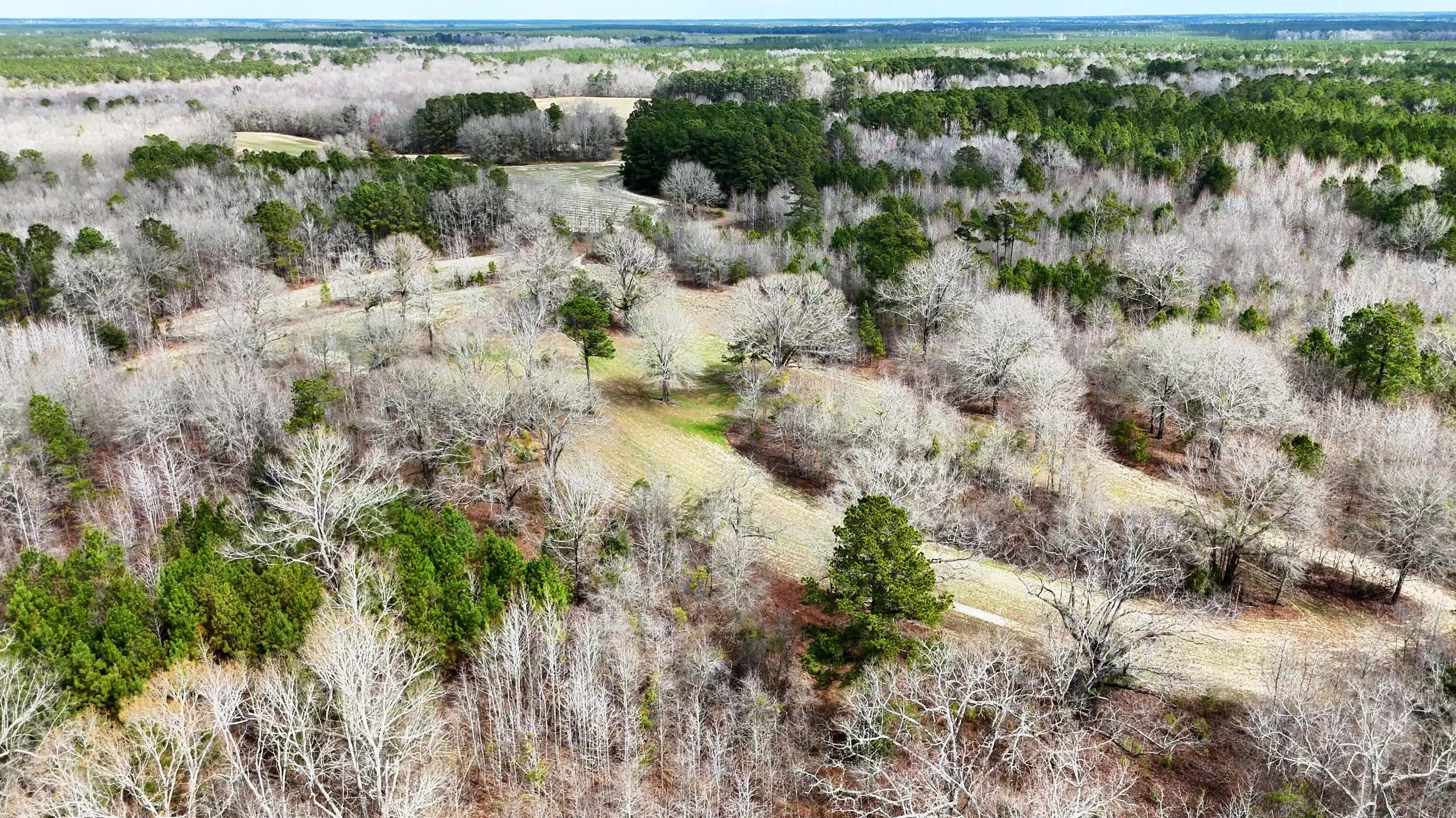Hunting Land for Sale in South Carolina, South Carolina Hunting Land ...