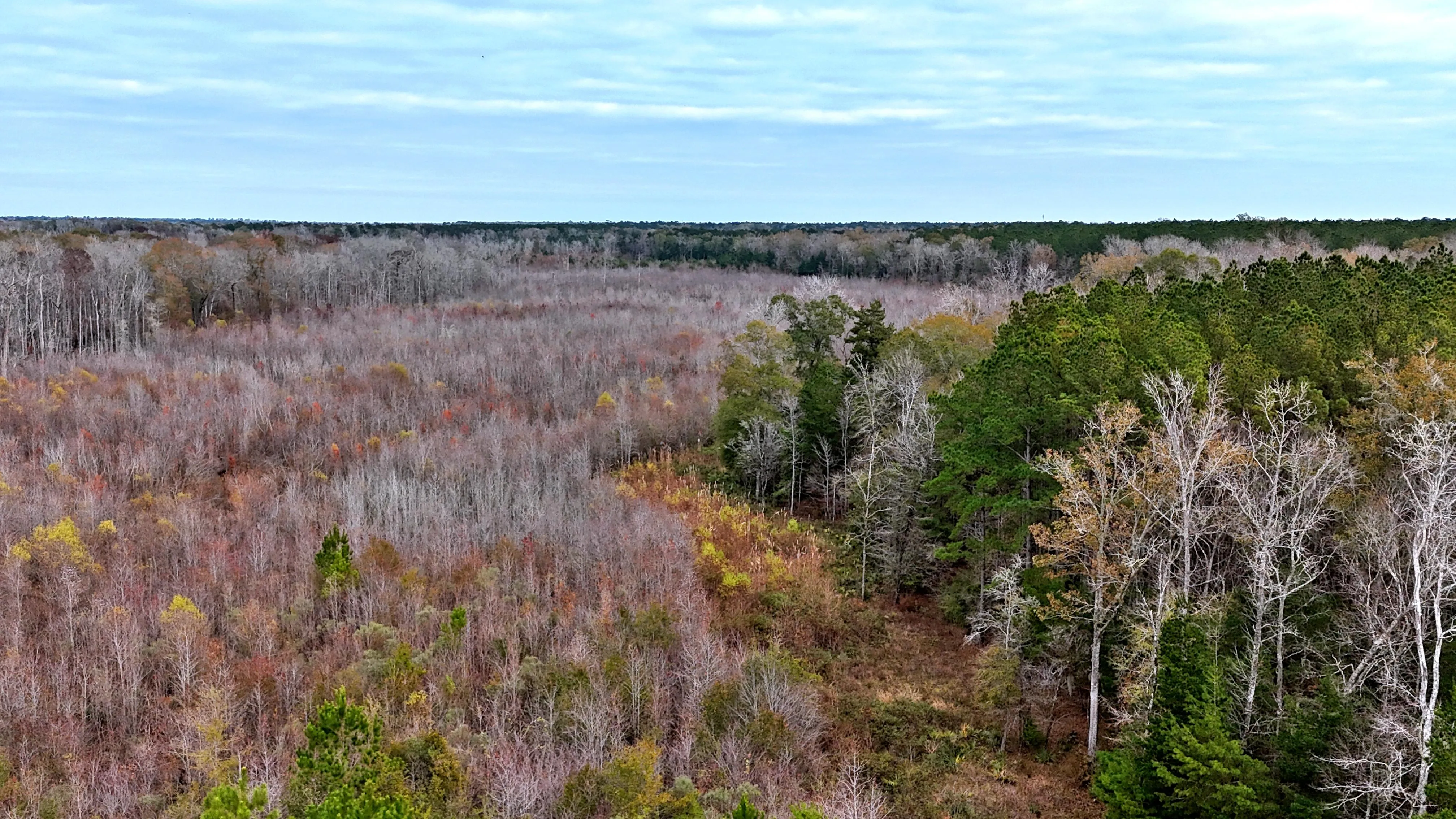 Berkeley County, SC Farm Land with Fishing for Sale, Farm Land with ...