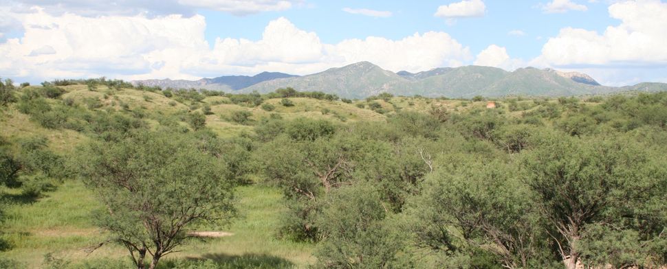 Arizona Land for Sale - 10,749 Listings | Land and Farm