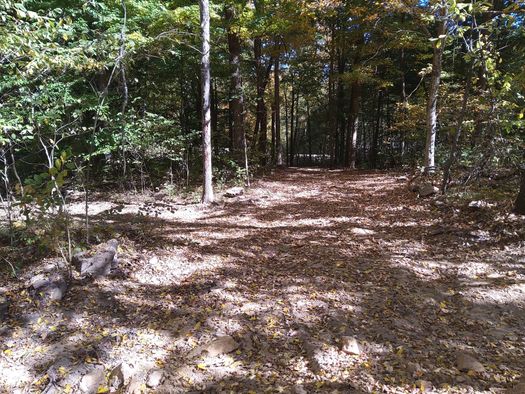 2.52 acres in Clarkson, KY, 42726 | Land and Farm