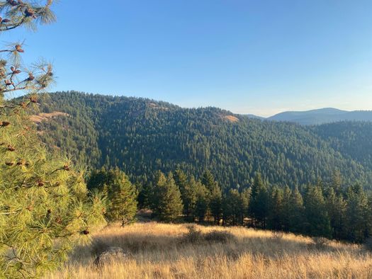 20 Acres, Wauconda, WA 98859 | Land and Farm