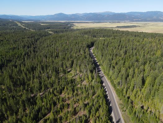 5 Acres, xxx Flowery Trail Road, Usk, WA 99180 | Land and Farm