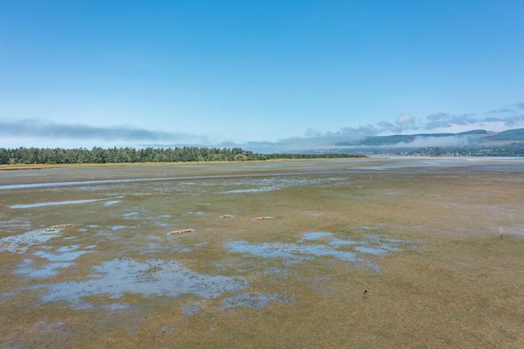 Netarts Bay, Netarts, OR 97143 | MLS: 23107951 | Land and Farm