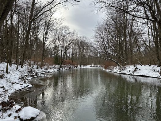 U.S. 219, Cherry Tree, PA 15724 | Land and Farm