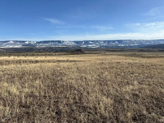 V Rd, Collbran, CO 81624 | Land and Farm