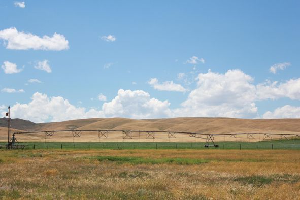 650 Frying Pan Road, Dillon, MT 59725 | MLS: 390131 | Land and Farm