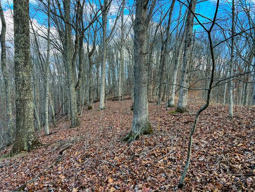 South Calhoun Highway, Orma, WV 25268 | Land and Farm