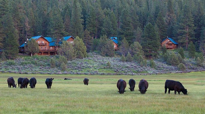 NF-379, Bly, OR 97622 | Land and Farm