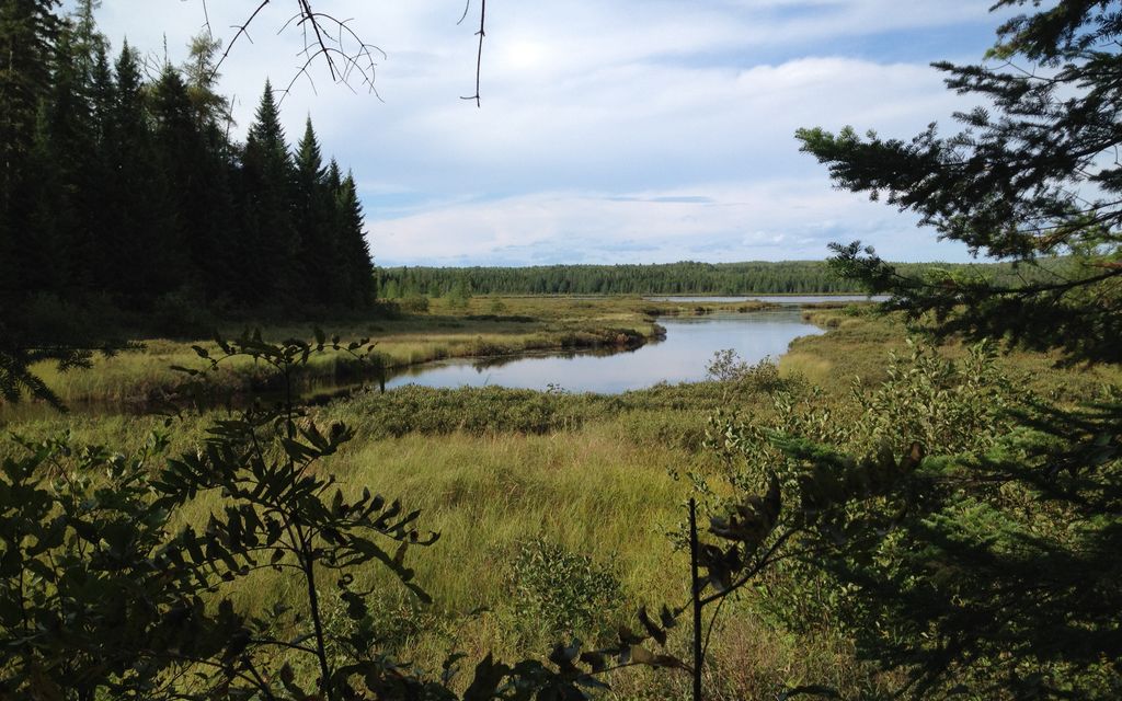 233 acres, Perham, ME, Property ID: 991466 | Land and Farm