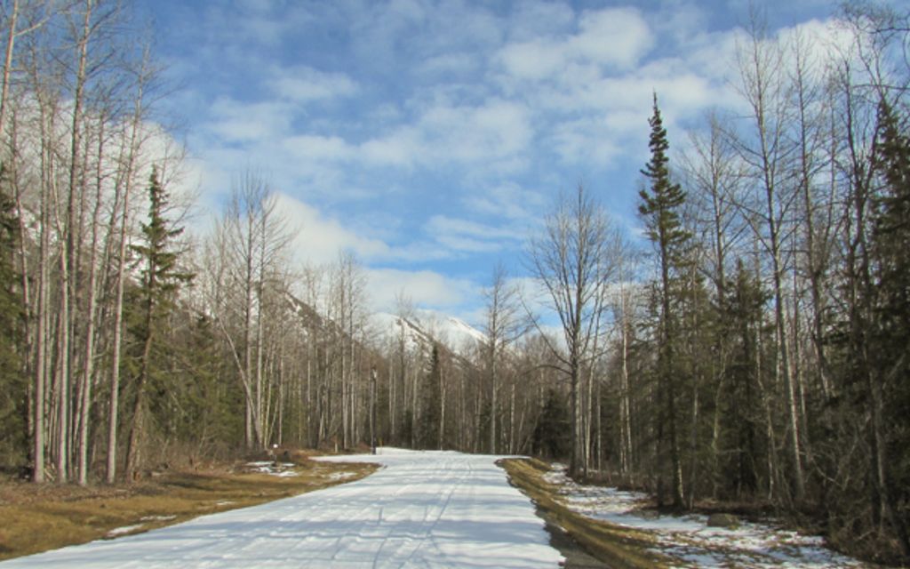 5.07 acres, Chugiak, AK, Property ID: 2696581 | Land and Farm