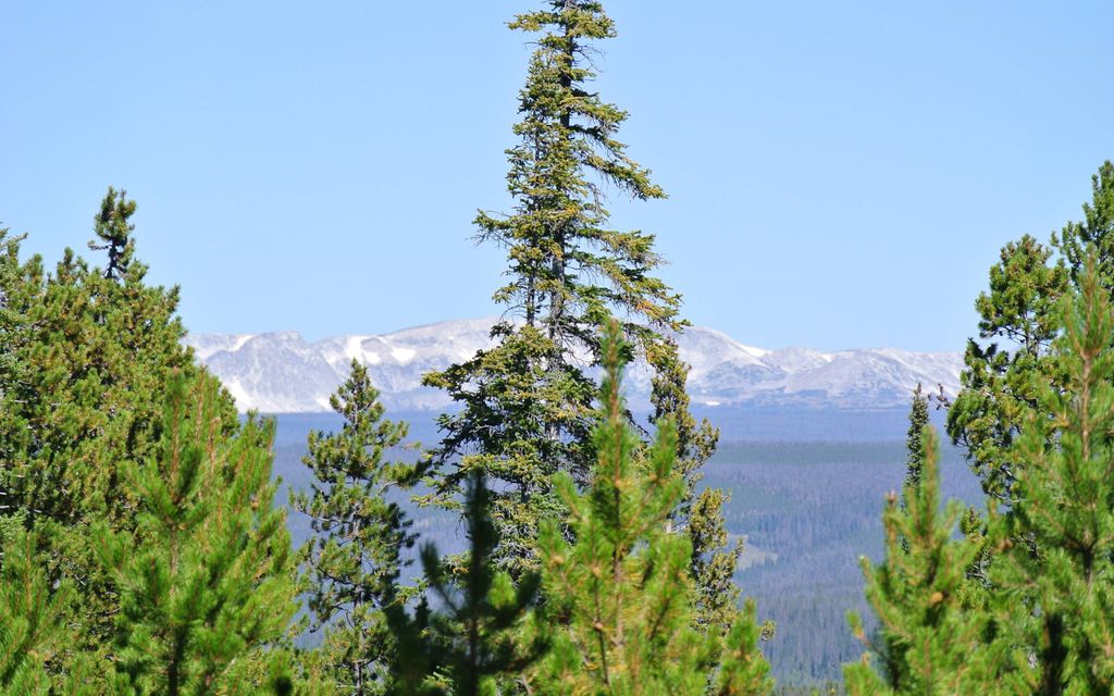 5 acres, Foxpark, WY, Property ID: 3310849 | Land and Farm