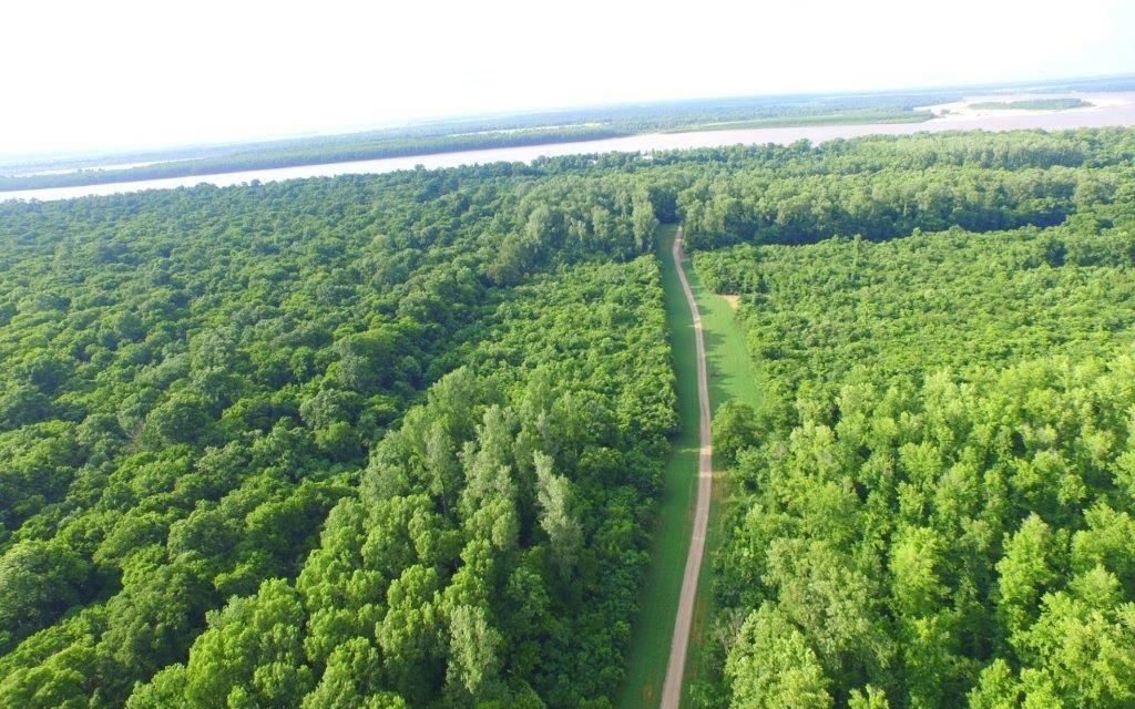 6750 acres, Benoit, MS, Property ID: 3303204 | Land and Farm