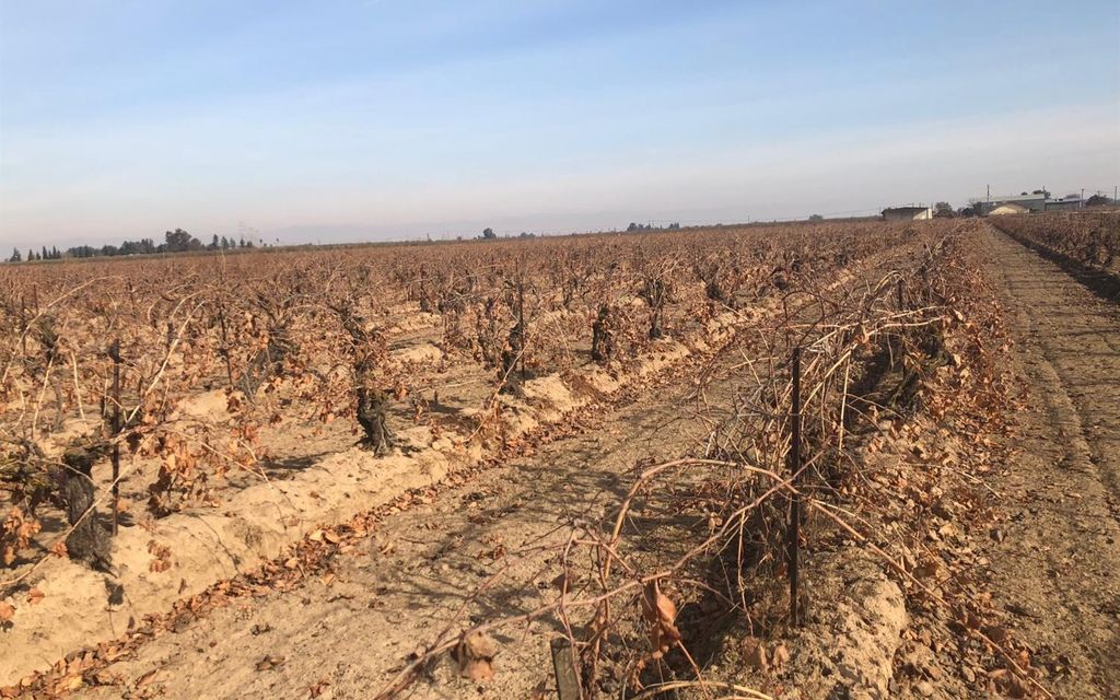 17.5 acres, Fresno, CA, Property ID: 7267061 | Land and Farm