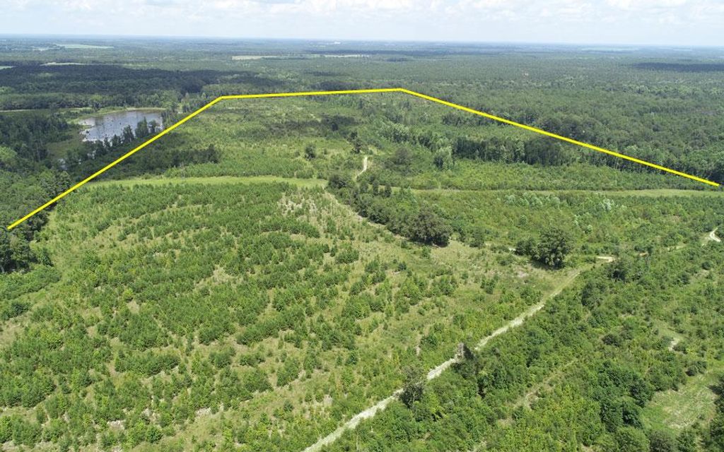 208.2 acres, Sardis, GA, Property ID: 8307514 | Land and Farm