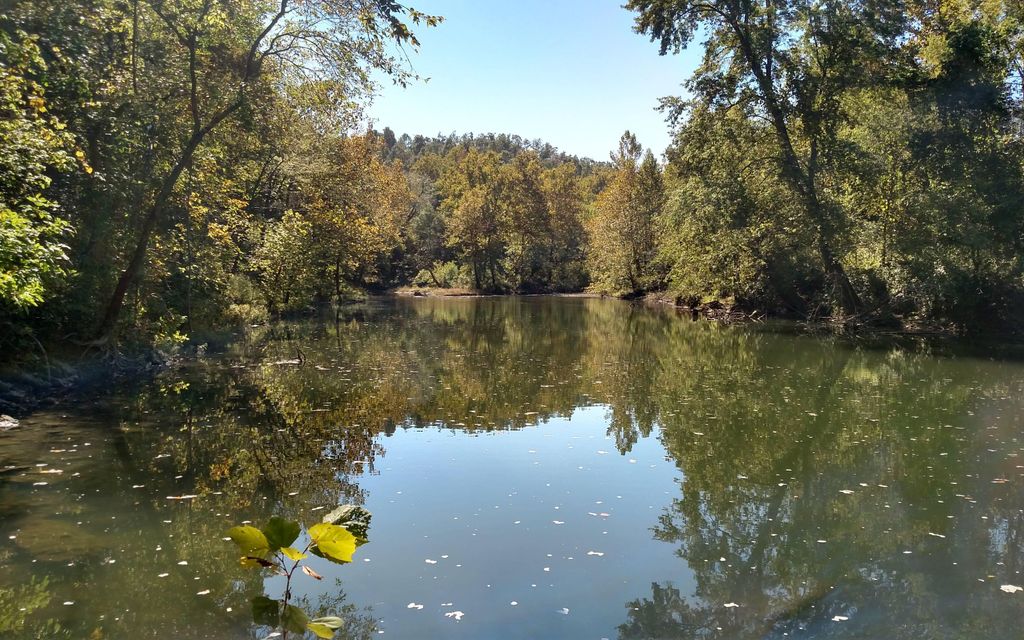 175 acres, Falcon, MO, Property ID: 7072058 | Land and Farm