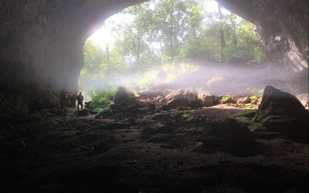 40 acres, Cushman, AR, Property ID: 8480590 | Land and Farm