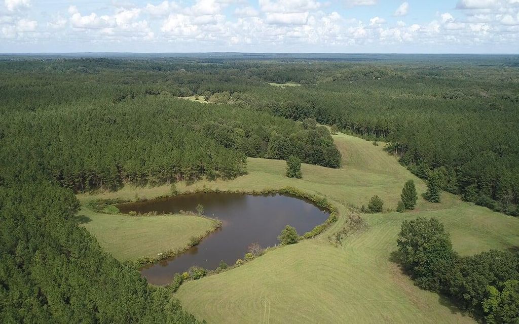 406.52 acres, Pattison, MS, Property ID: 7685088 | Land and Farm